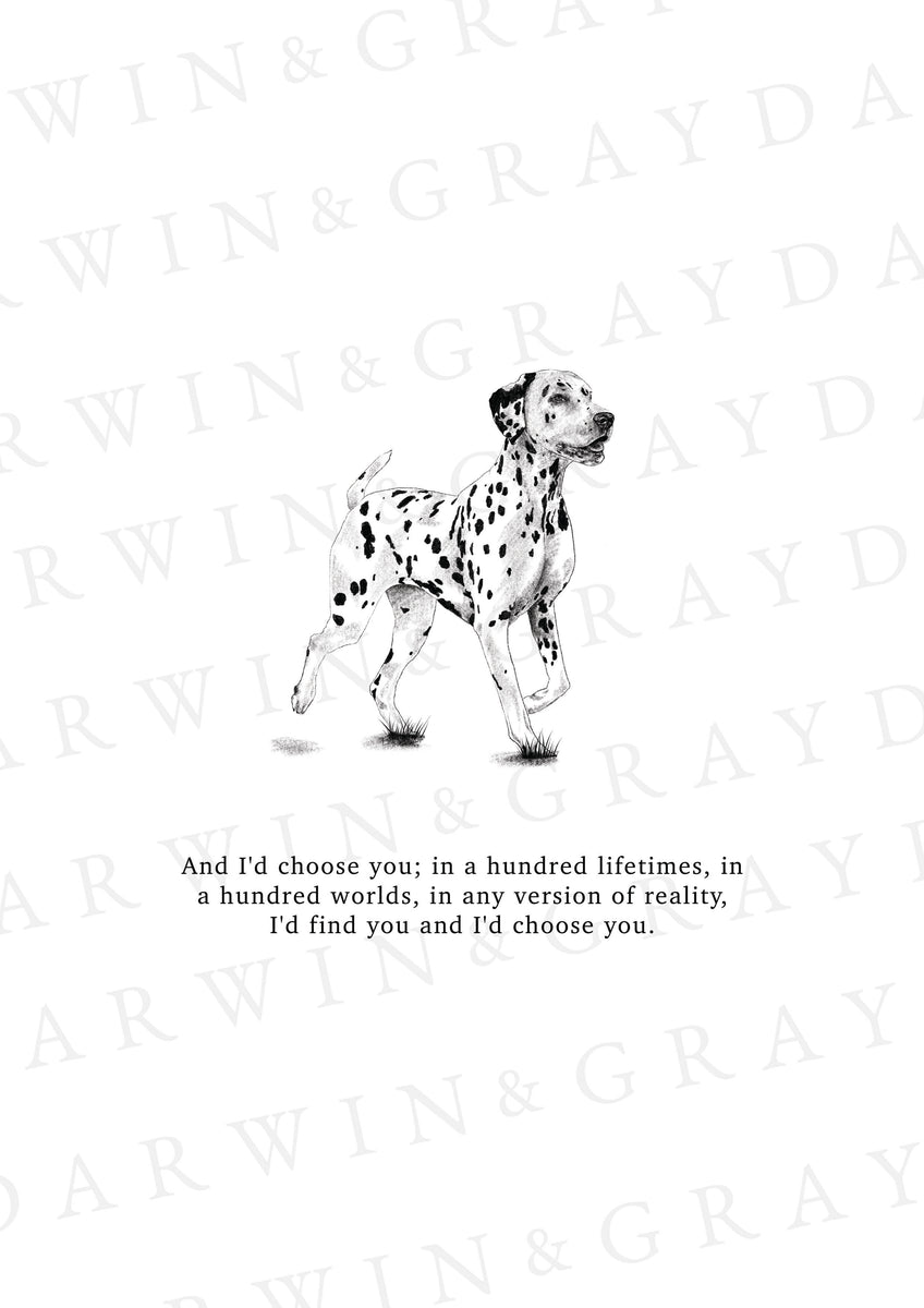 Digital | Dalmatian Print – Darwin & Gray